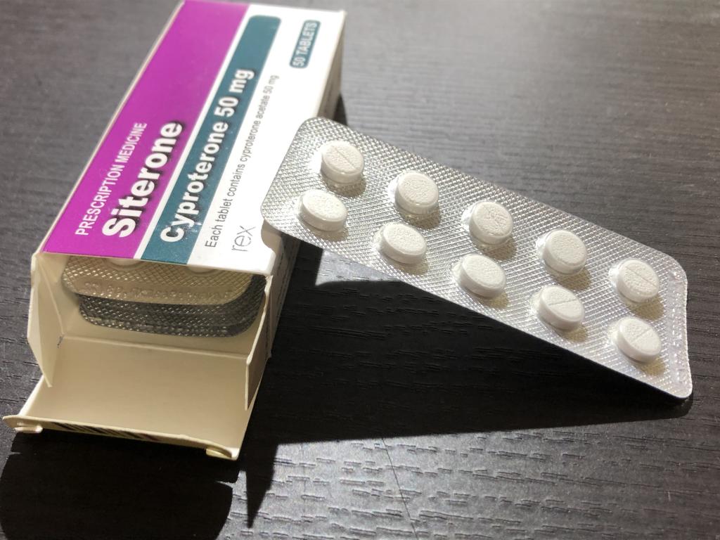 シテロンの口コミ・レビュー (オランダ屋)